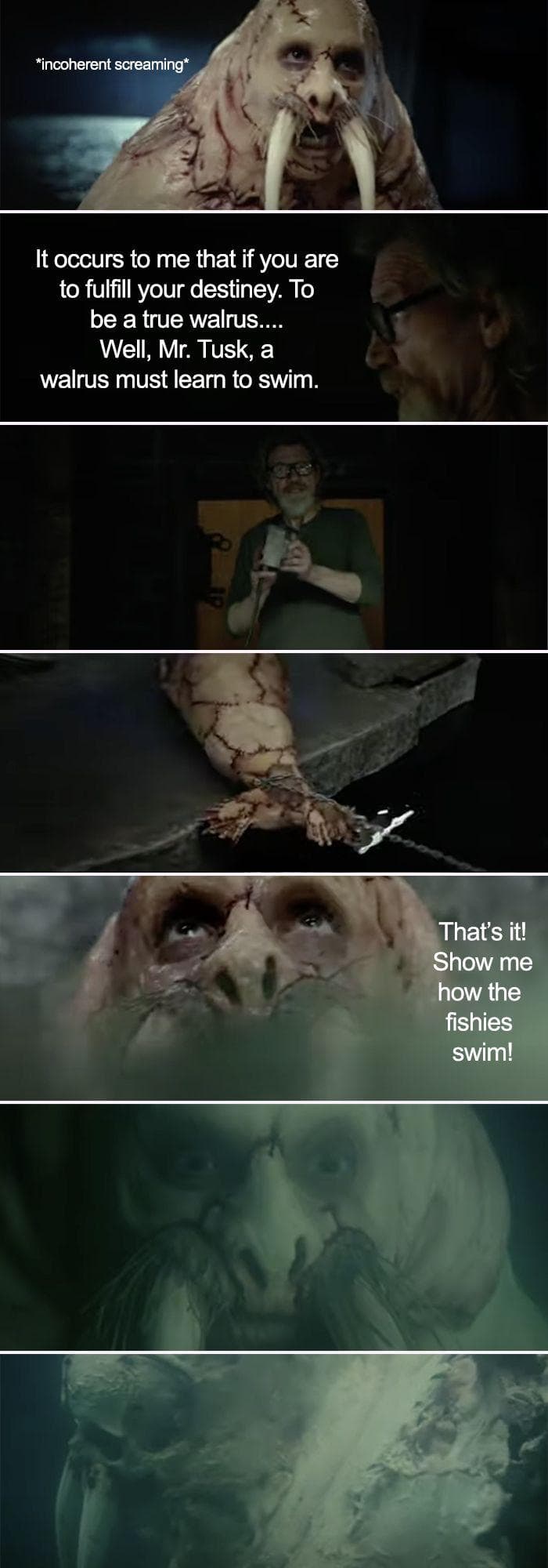 Film Fans Share The Bizarre And Peculiar Movies That Made Them Say ...