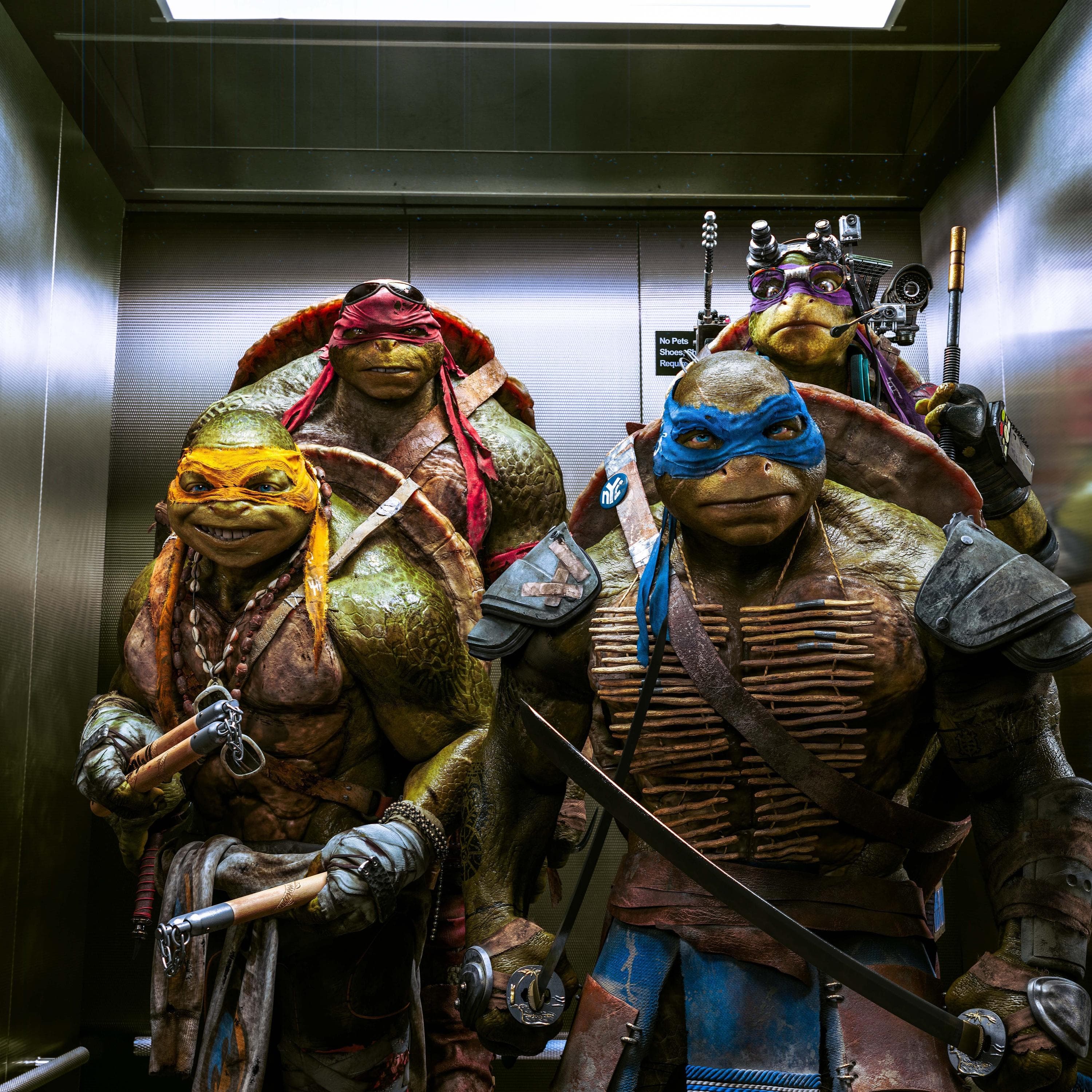 The 21 Best Turtles And Tortoises Movies, Ranked By Fans