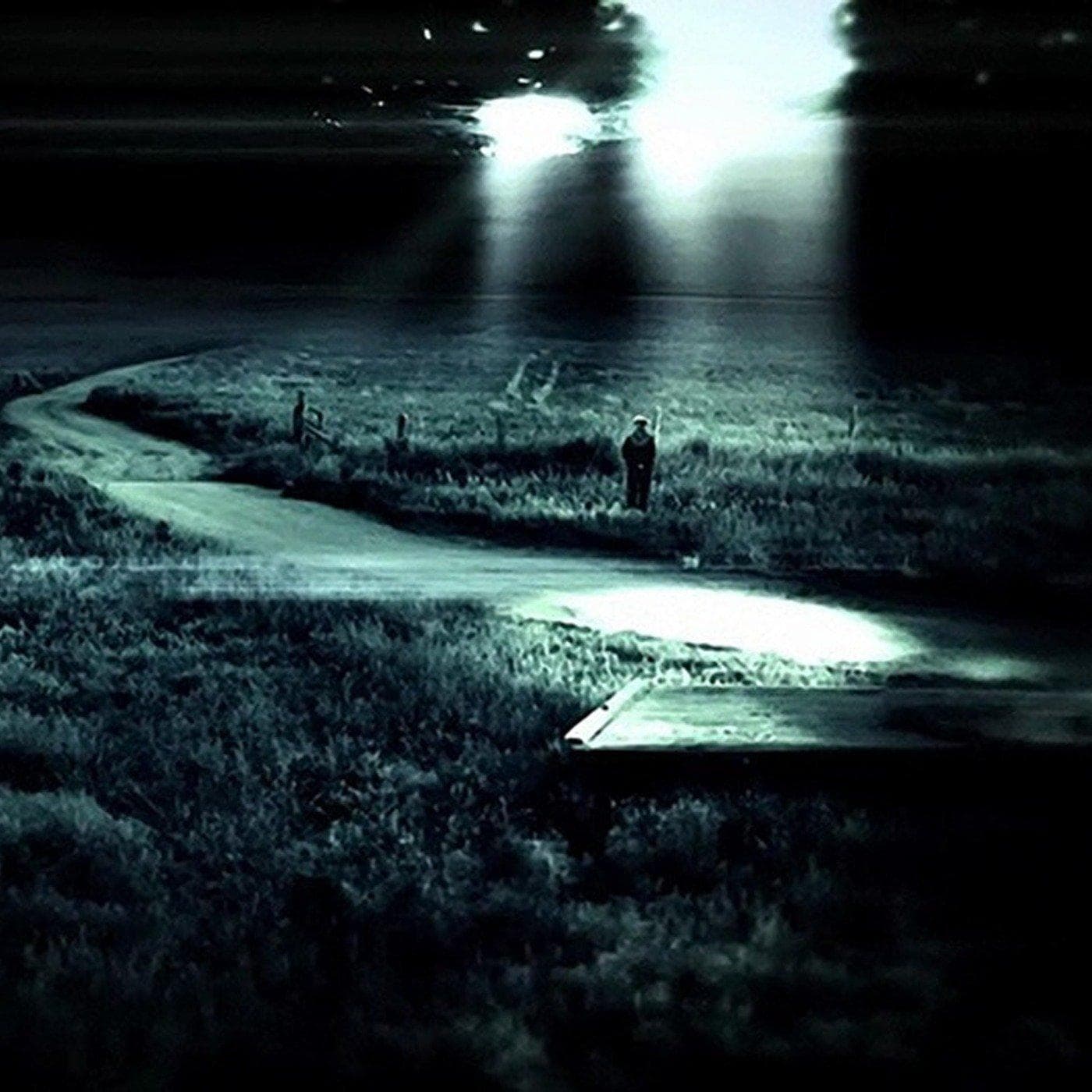 The 20 Best Cryptid Horror Movies, Ranked By Fans