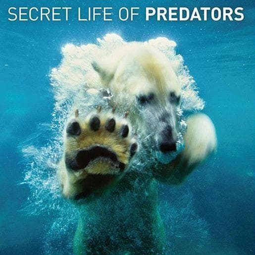 The 30 Best Underwater & Deep Sea Documentaries, Ranked By Fans