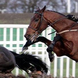 List of Famous Female Jockeys