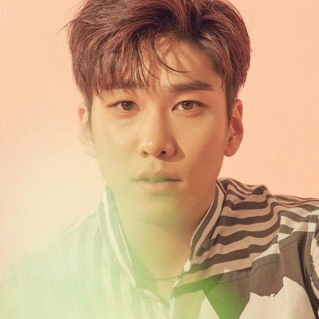 20+ Male Kpop Idols Born In 1993