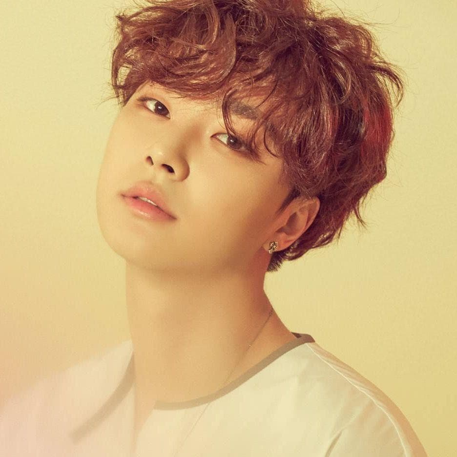 25+ Male Kpop Idols Born In 1994