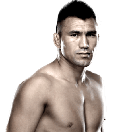 The Best Chinese UFC Fighters Of All Time, Ranked By Fans