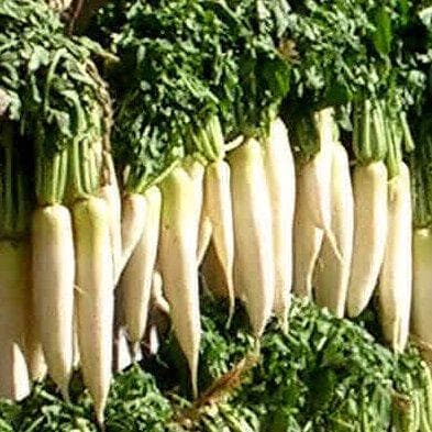 The Best Root Vegetables & Tubers