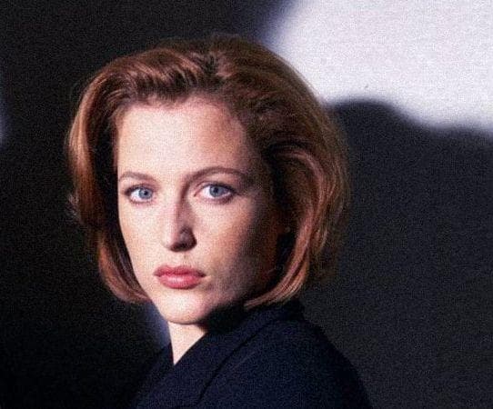 The Cast of The X-Files: Then and Now (with Photos)