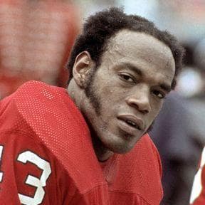 The Best Athletes Who Wore Number 43, Ranked By Fans