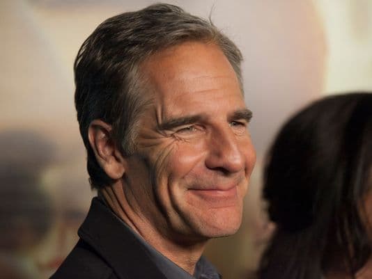 The 25+ Best Current Fictional TV Detectives & Policemen