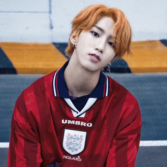 Ranking All 9 Stray Kids Members | Vote for Your Stray Kids Bias