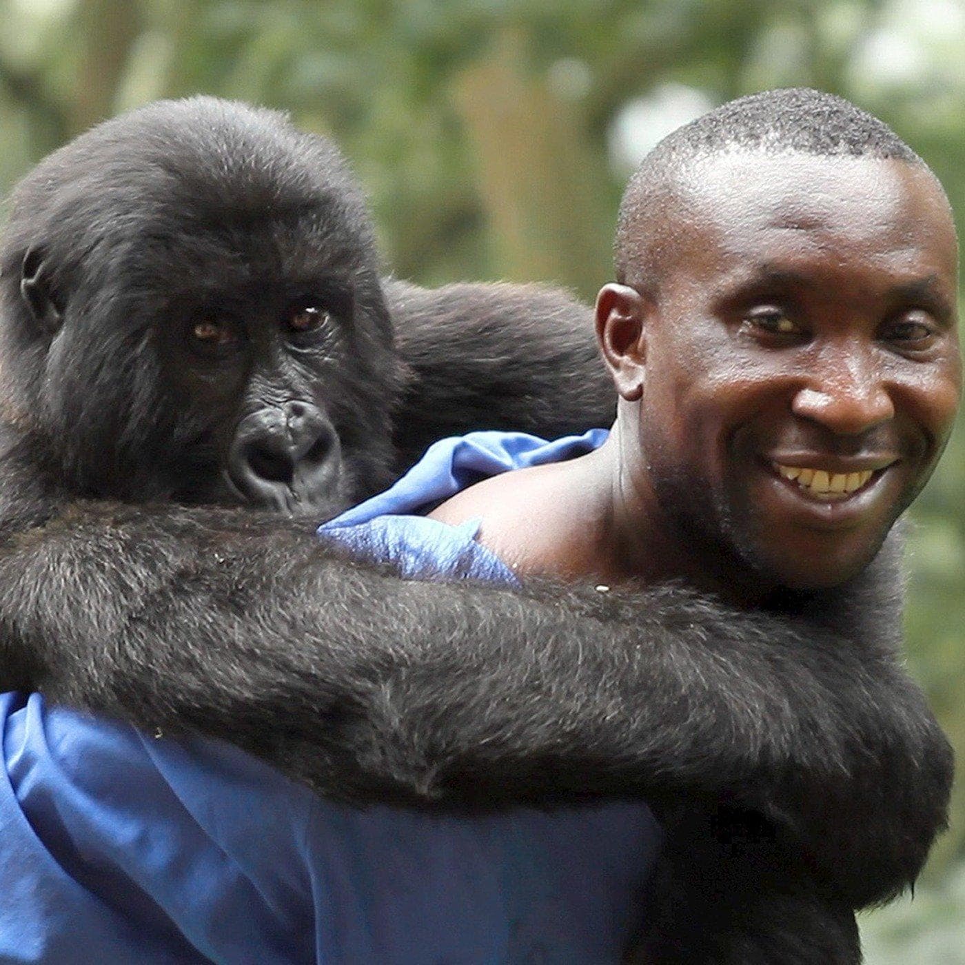 The Best Movies That Are Set In The Democratic Republic of Congo