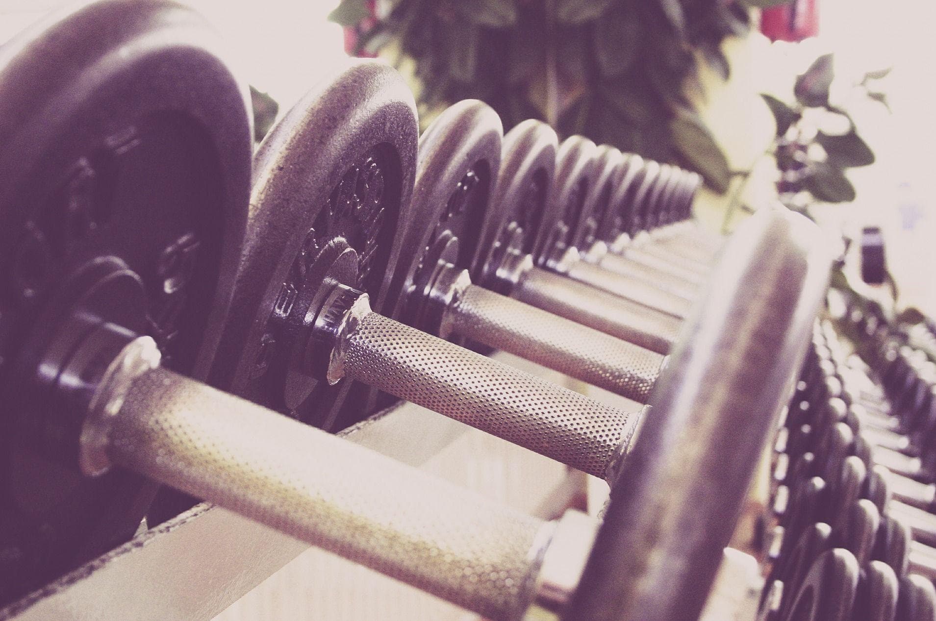 Famous Male Bodybuilders | List of Top Male Bodybuilders