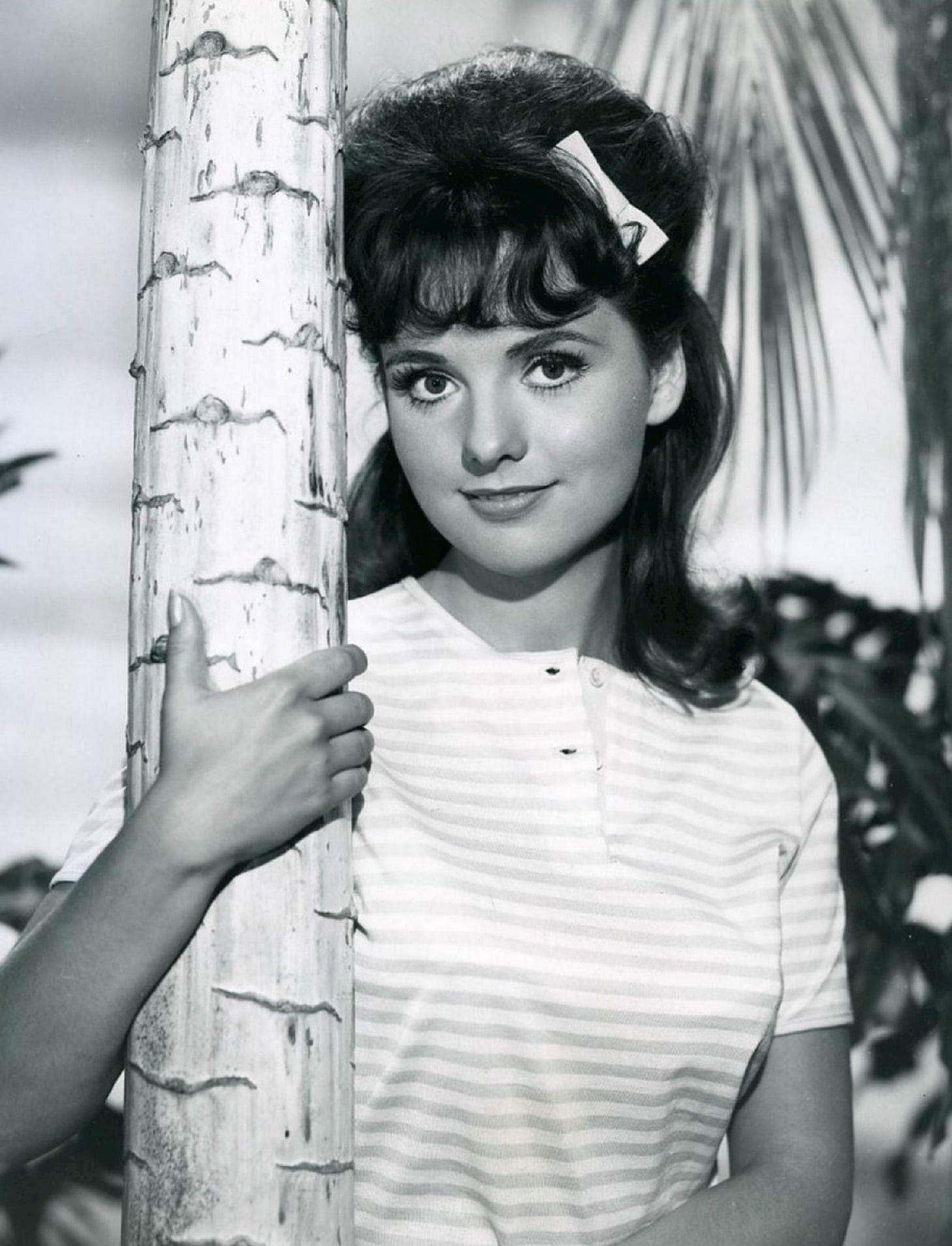 Famous Dawns | List of Famous People Named Dawn