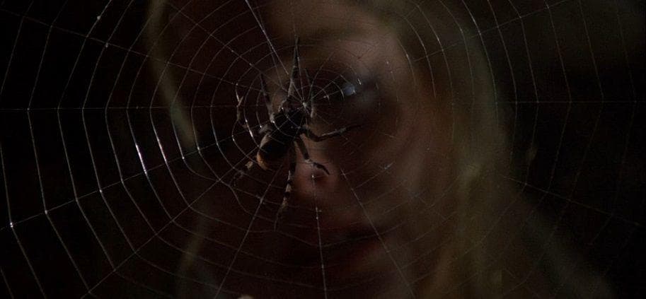 Terrifying Spider Scenes In Movies