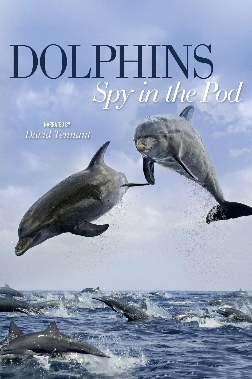 The 30 Best Underwater & Deep Sea Documentaries, Ranked By Fans