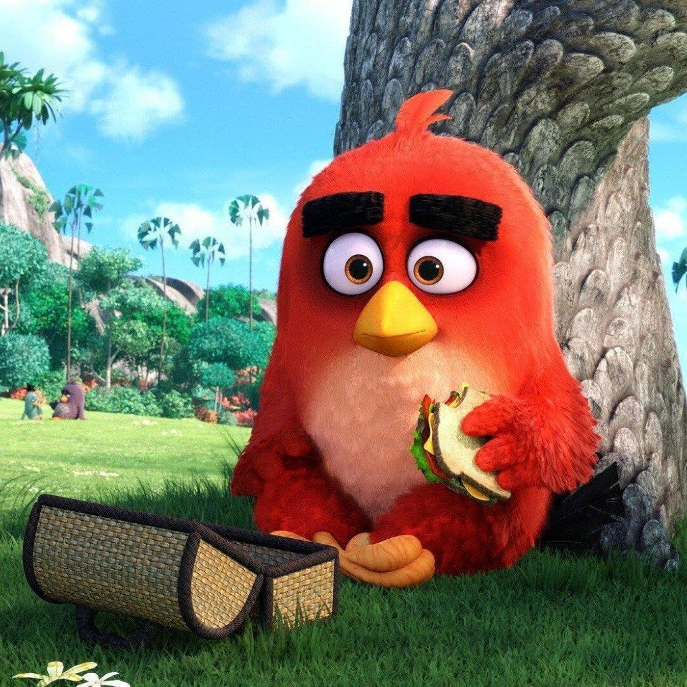 The 15 Best Movies With Birds, Ranked By Fans