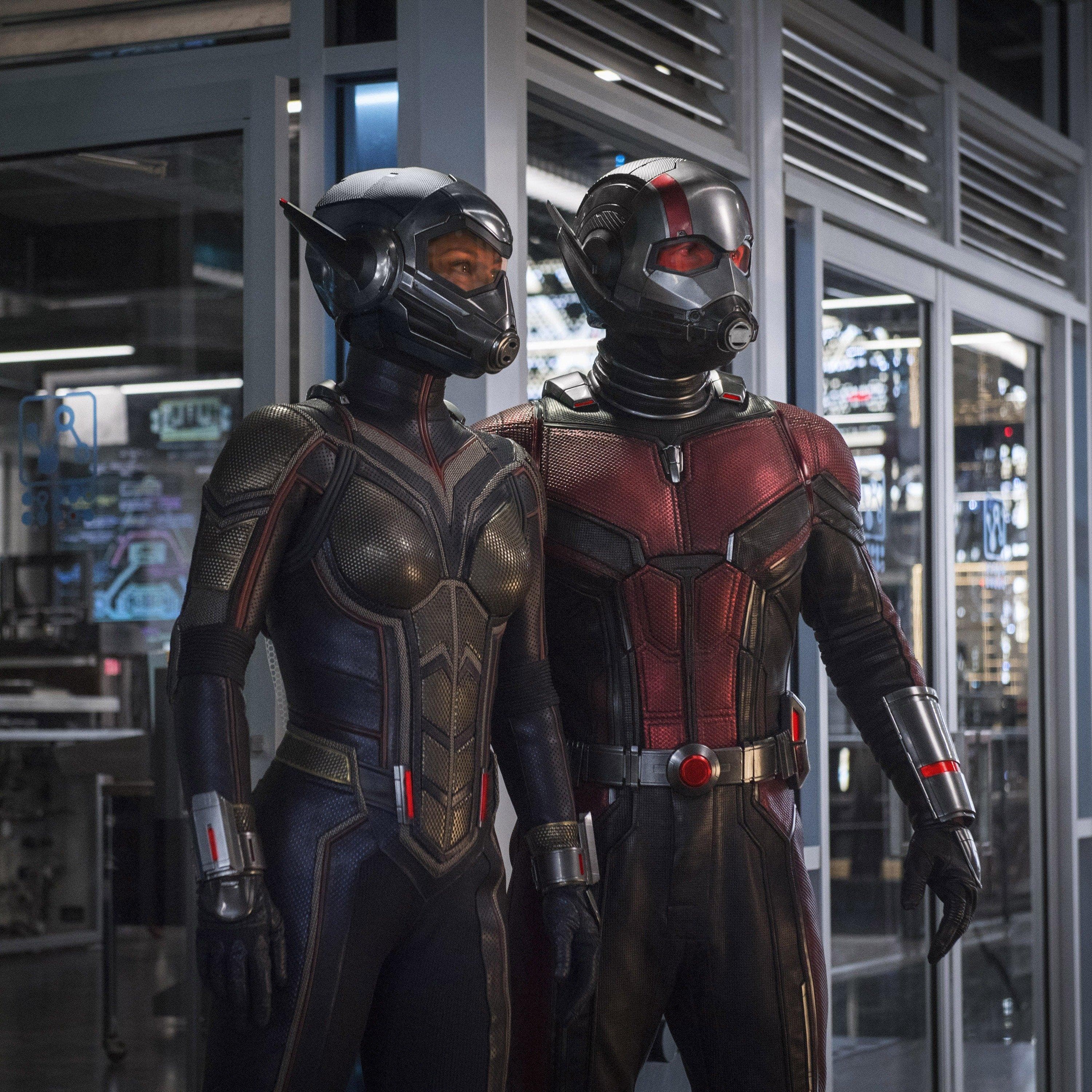 The 17 Best Movies About Ants, Ranked By Fans