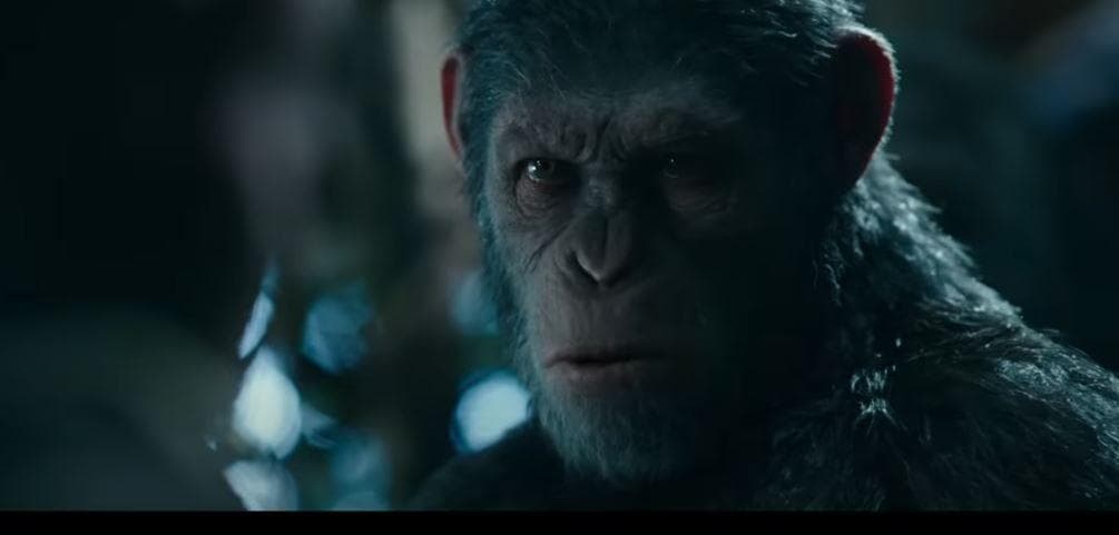 The 30 Best Movies About Monkeys, Ranked By Fans