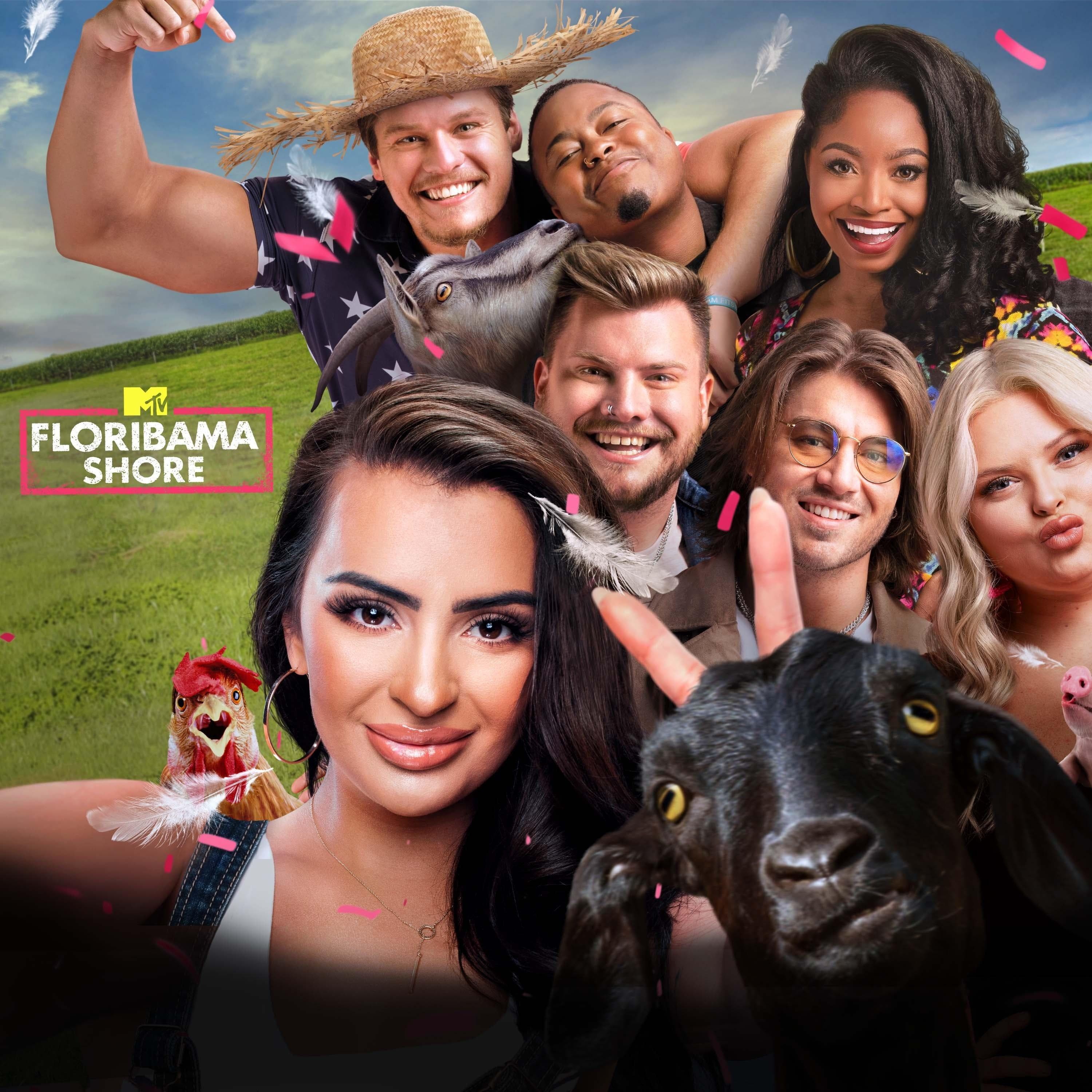 25+ Guilty Pleasure Reality Shows Like MTV's 'Jersey Shore'