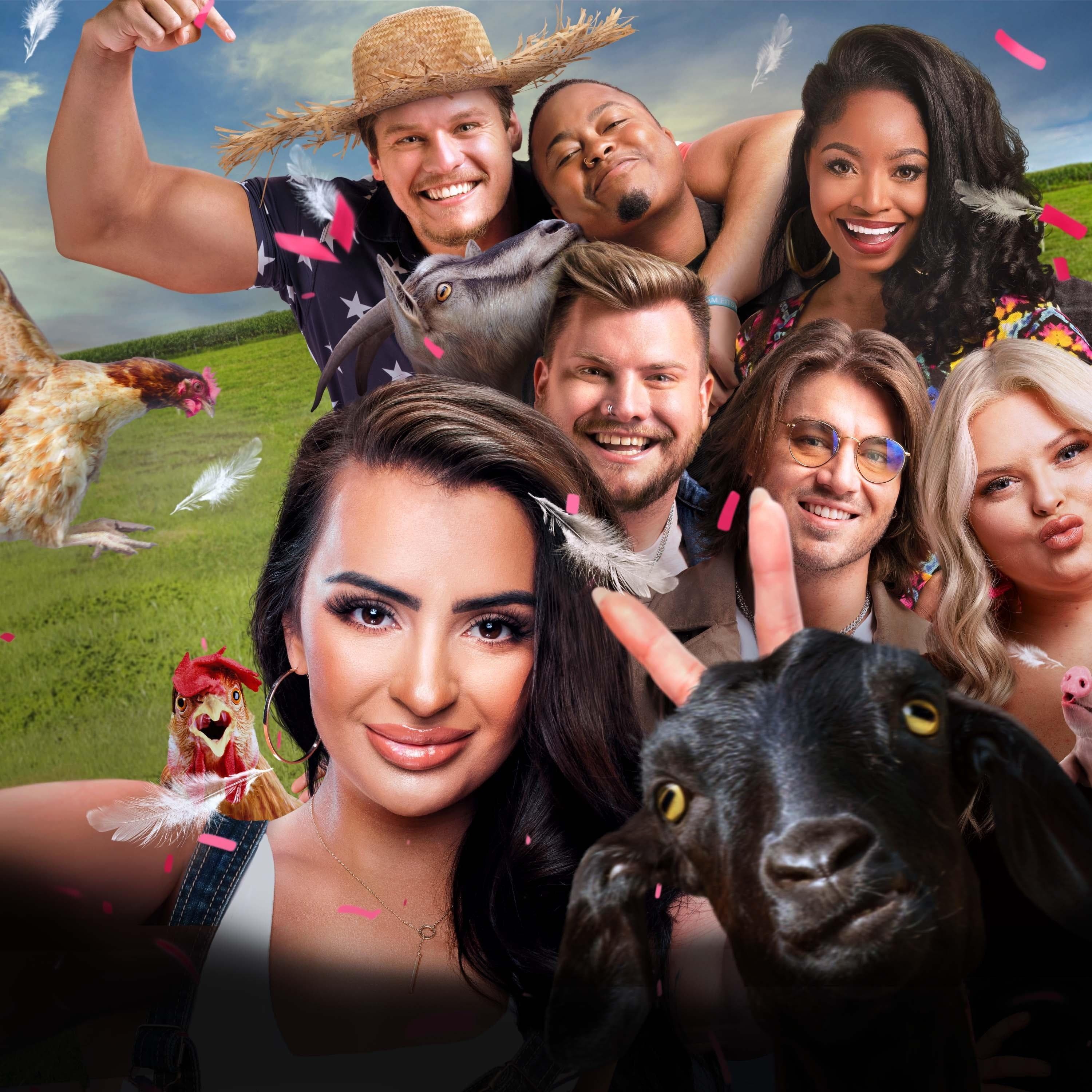 25+ Guilty Pleasure Reality Shows Like MTV's 'Jersey Shore'