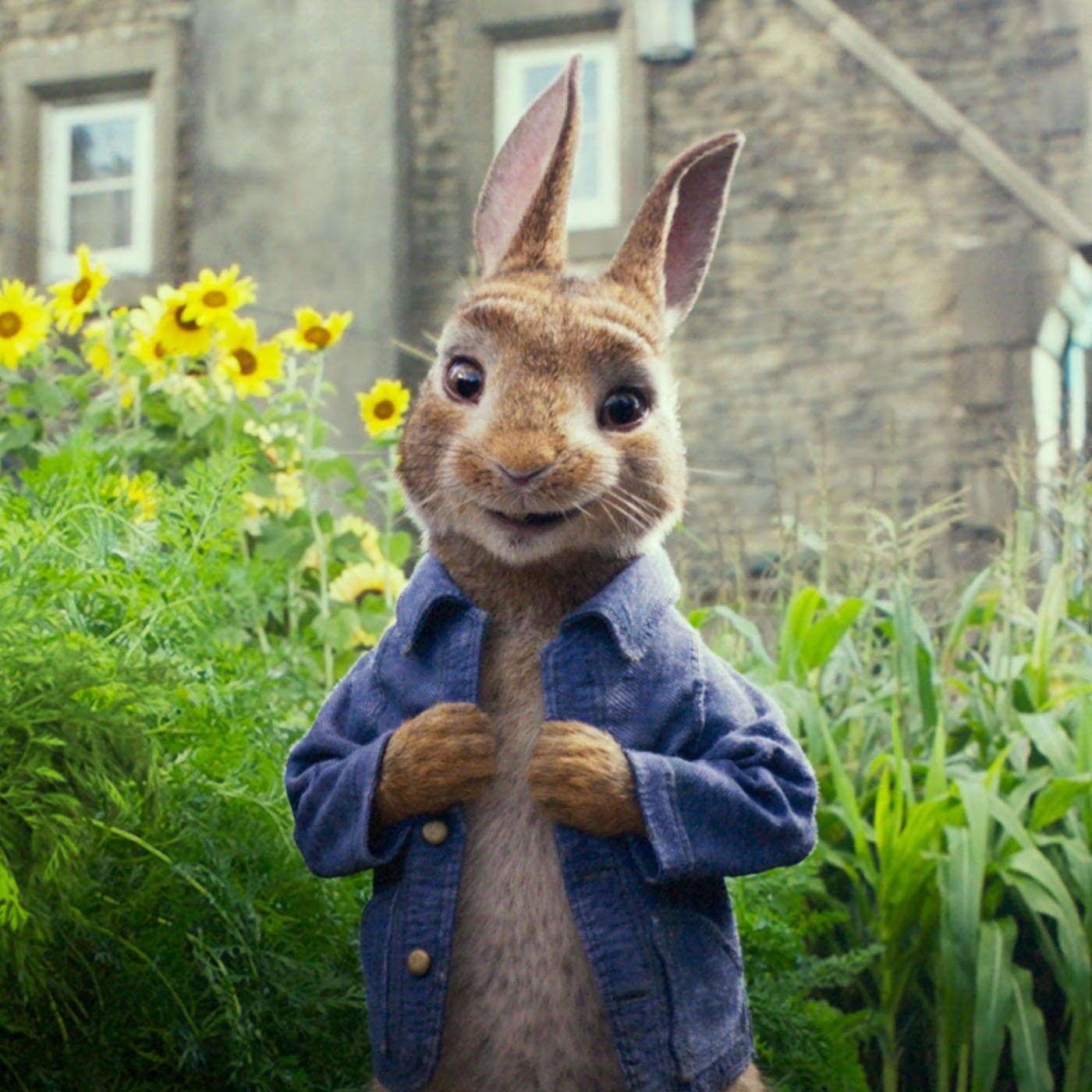 The 30 Best Movies With Rabbits, Ranked By Fans
