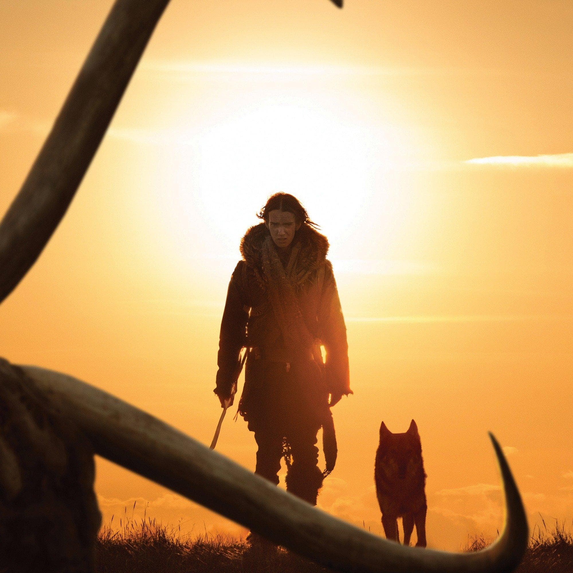 The 22 Best Movies About Wolves, Ranked By Fans