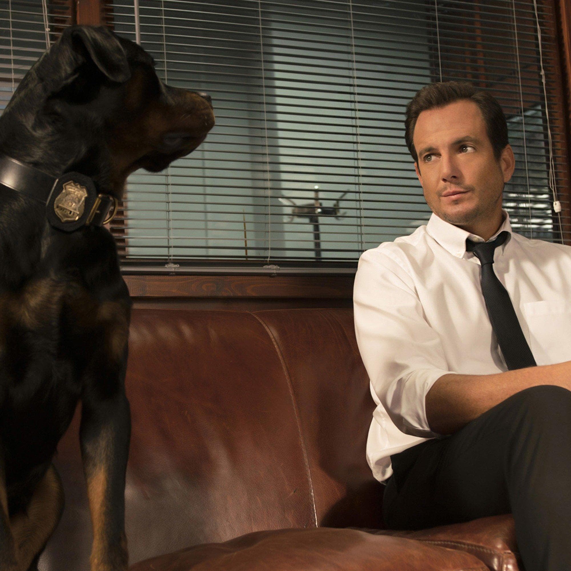15 Paw-some Buddy Cop Films to Watch If You Loved 'K-9'