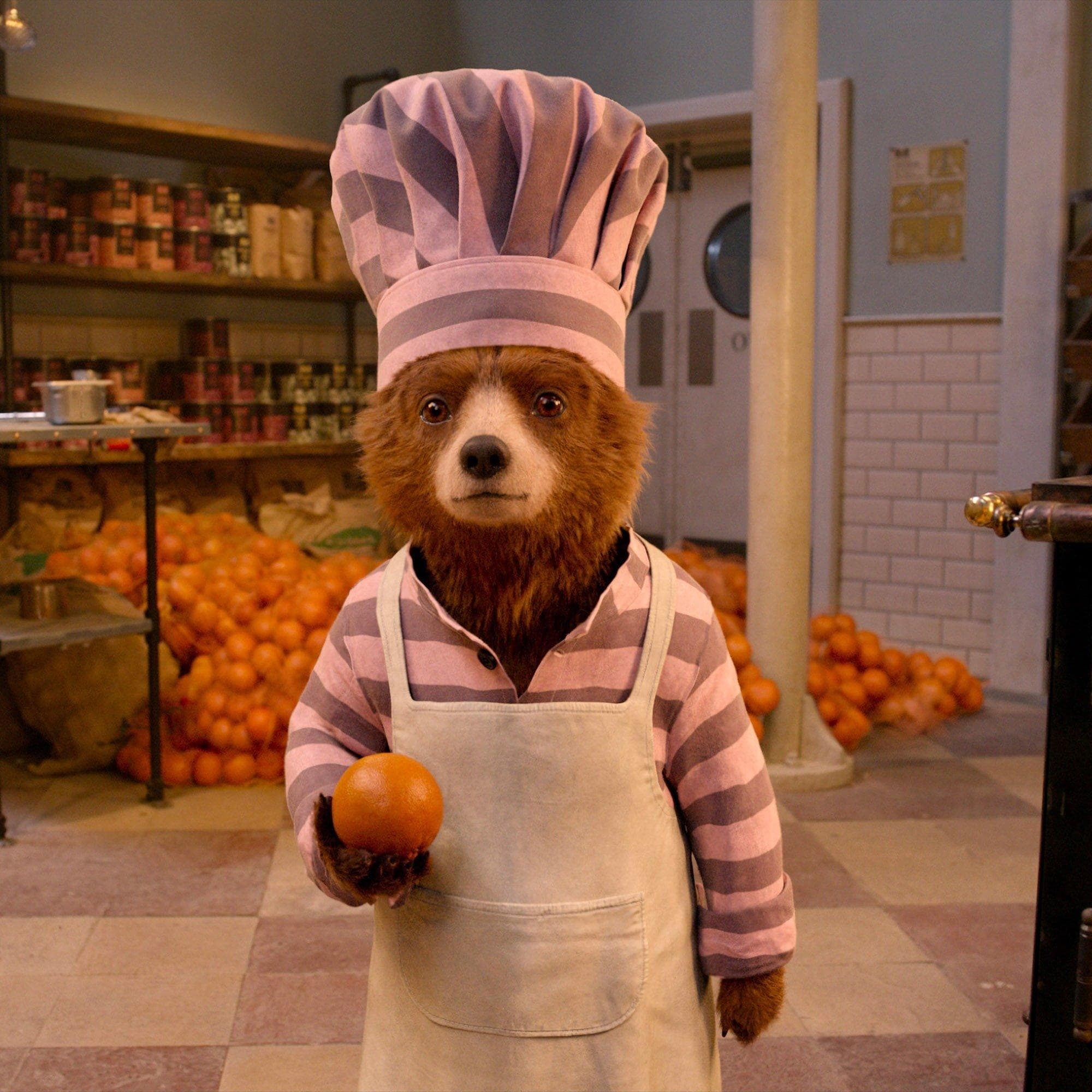 The 31 Best Movies About Bears, Ranked By Fans