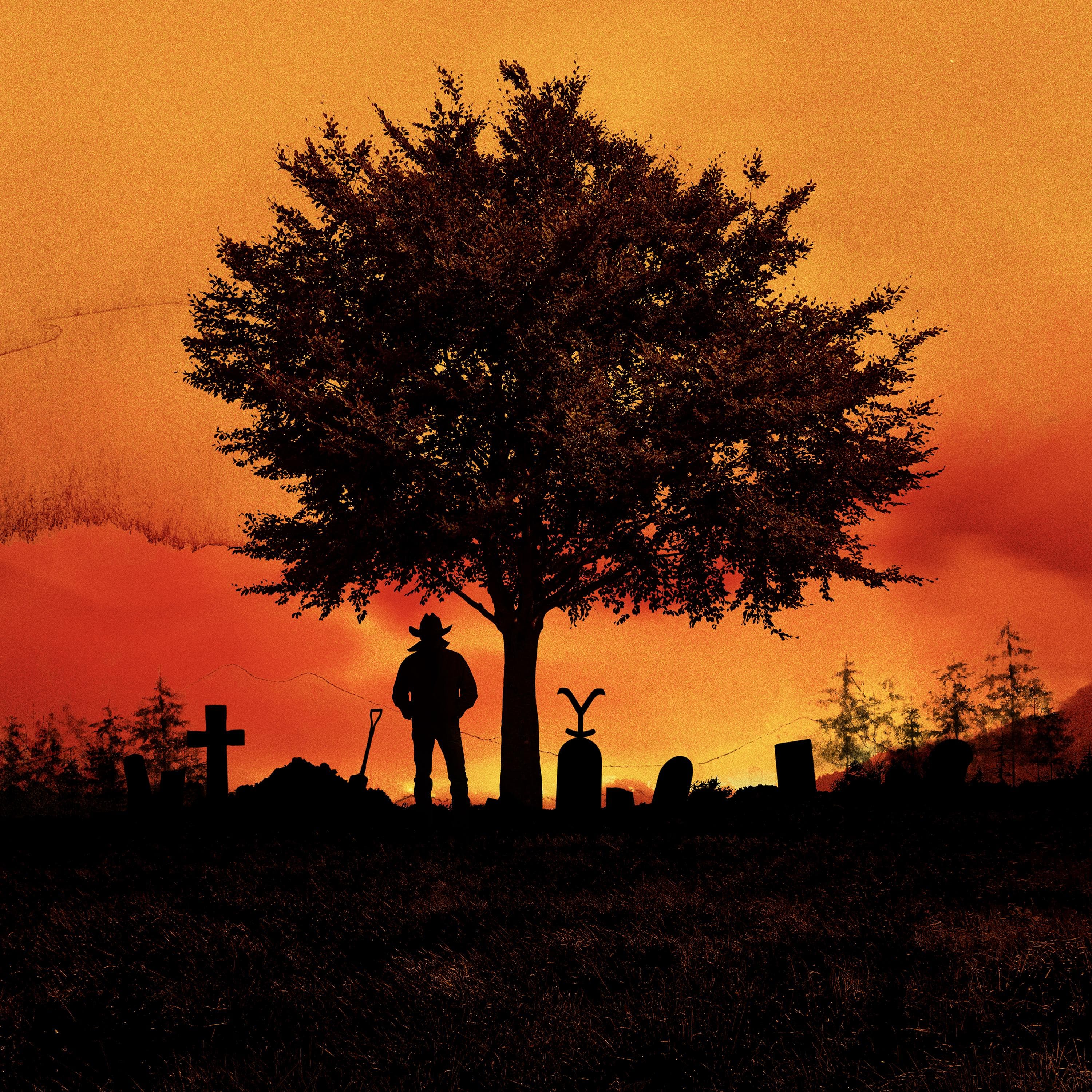 The 45+ Best Movies & Shows Like 'Snowfall', Ranked