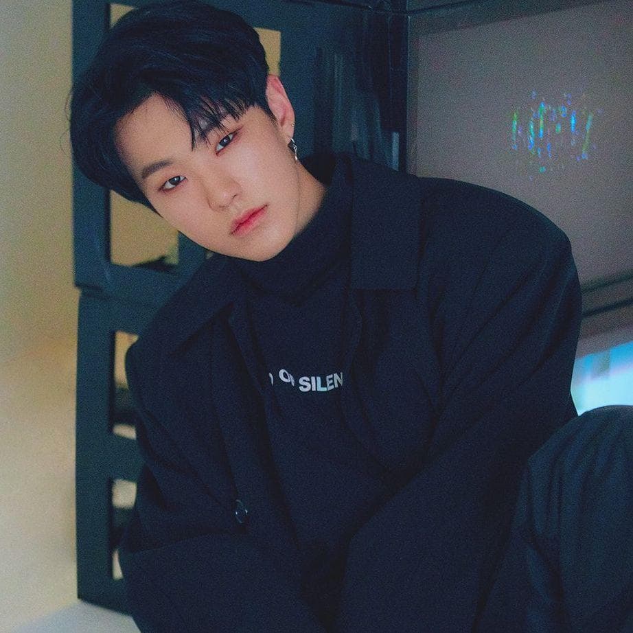 20+ K-pop Idols Who Are INTJ, Ranked By Fans