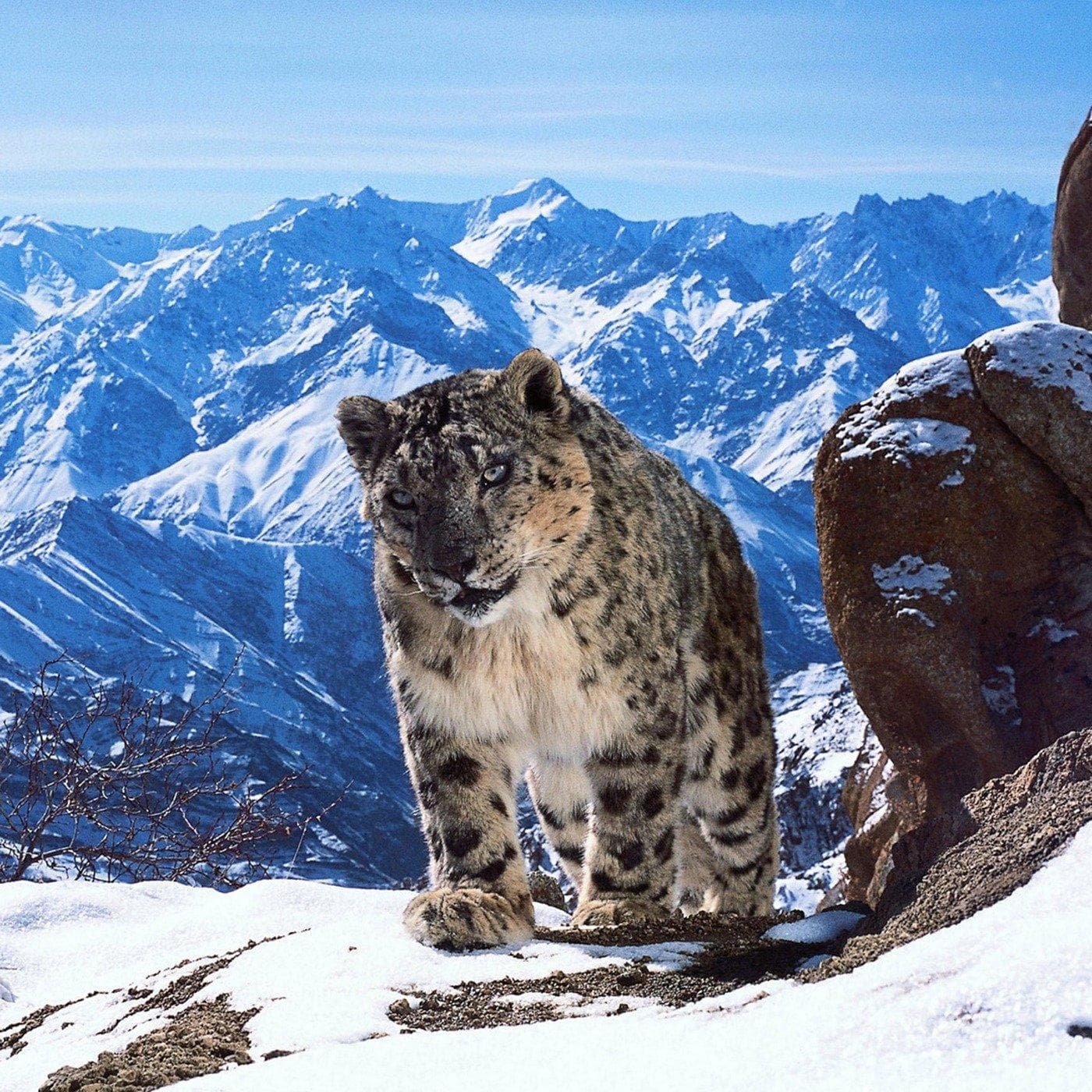 The Best Television Documentary Series, Ranked By Fans