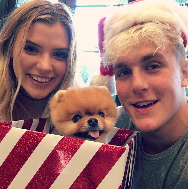 Who Has Jake Paul Dated? | His Girlfriends & Exes with Photos