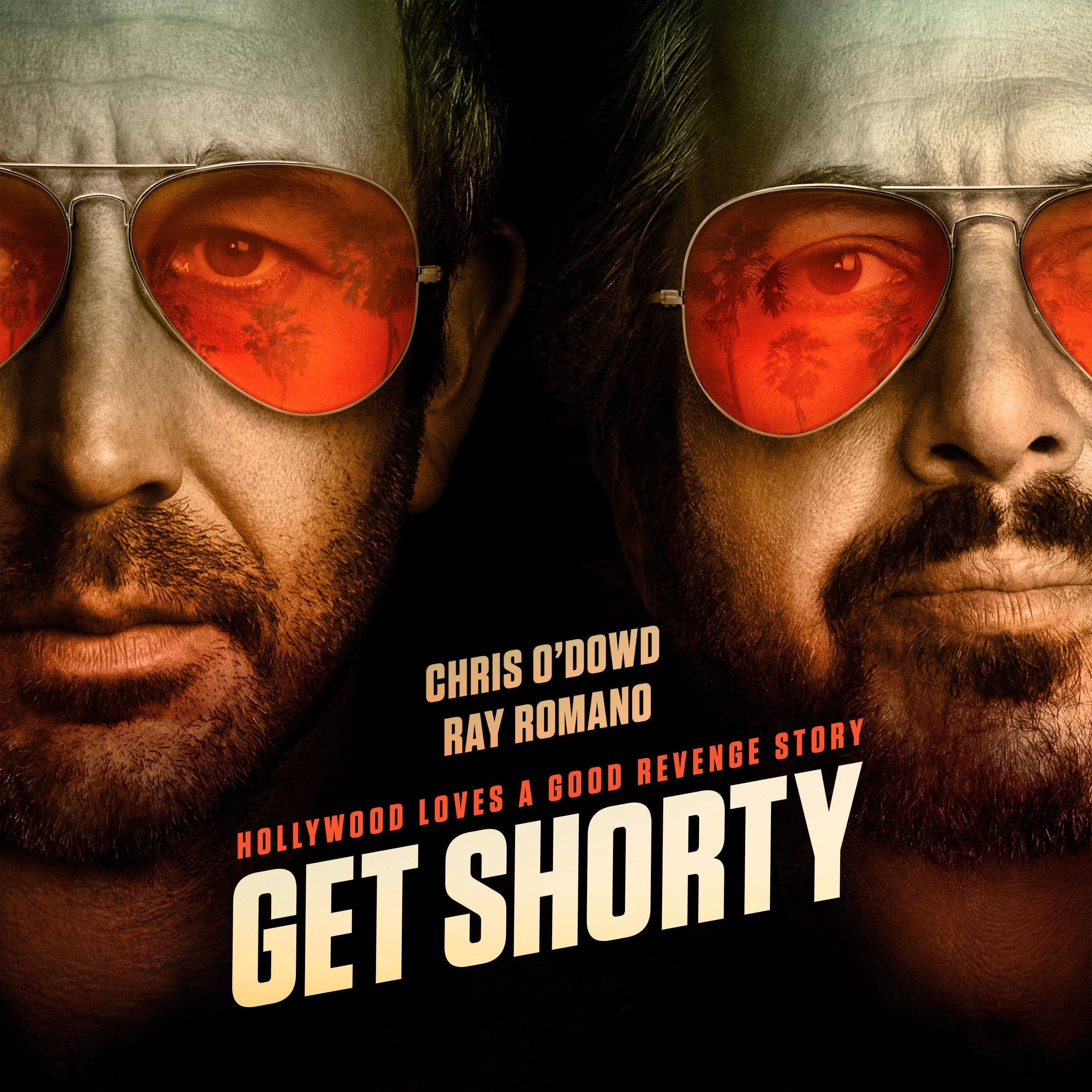 The Best Ray Romano Movies & TV Shows, Ranked By Fans