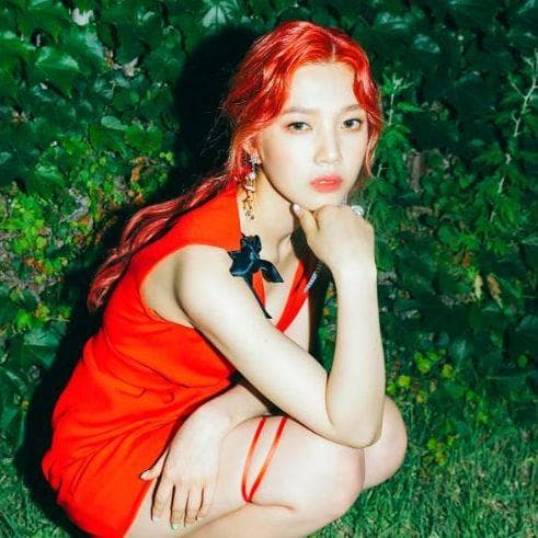 The 15+ Best K-pop Idols With Red Hair, Ranked By Fans