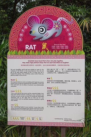 Chinese Zodiac Signs | List of Chinese Astrological Signs and Symbols