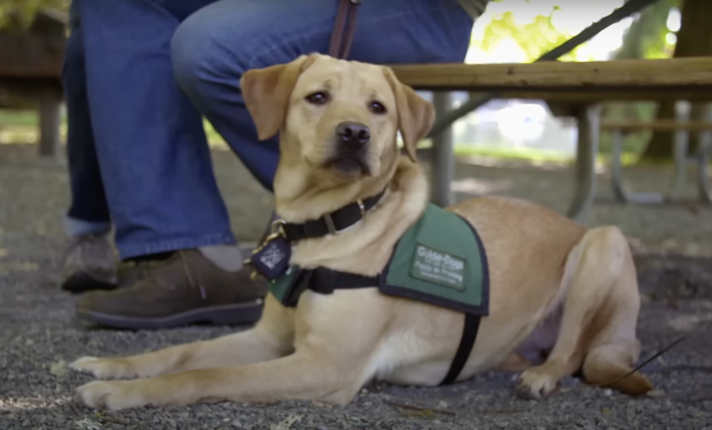 The 15 Best Documentaries For Kids, Ranked