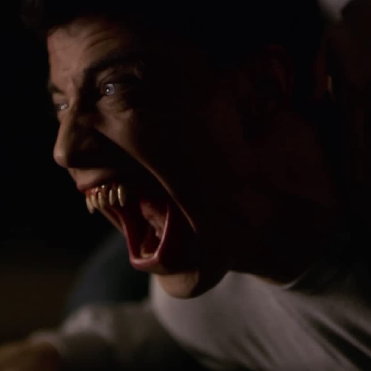 The 18 Best Werewolf TV Shows