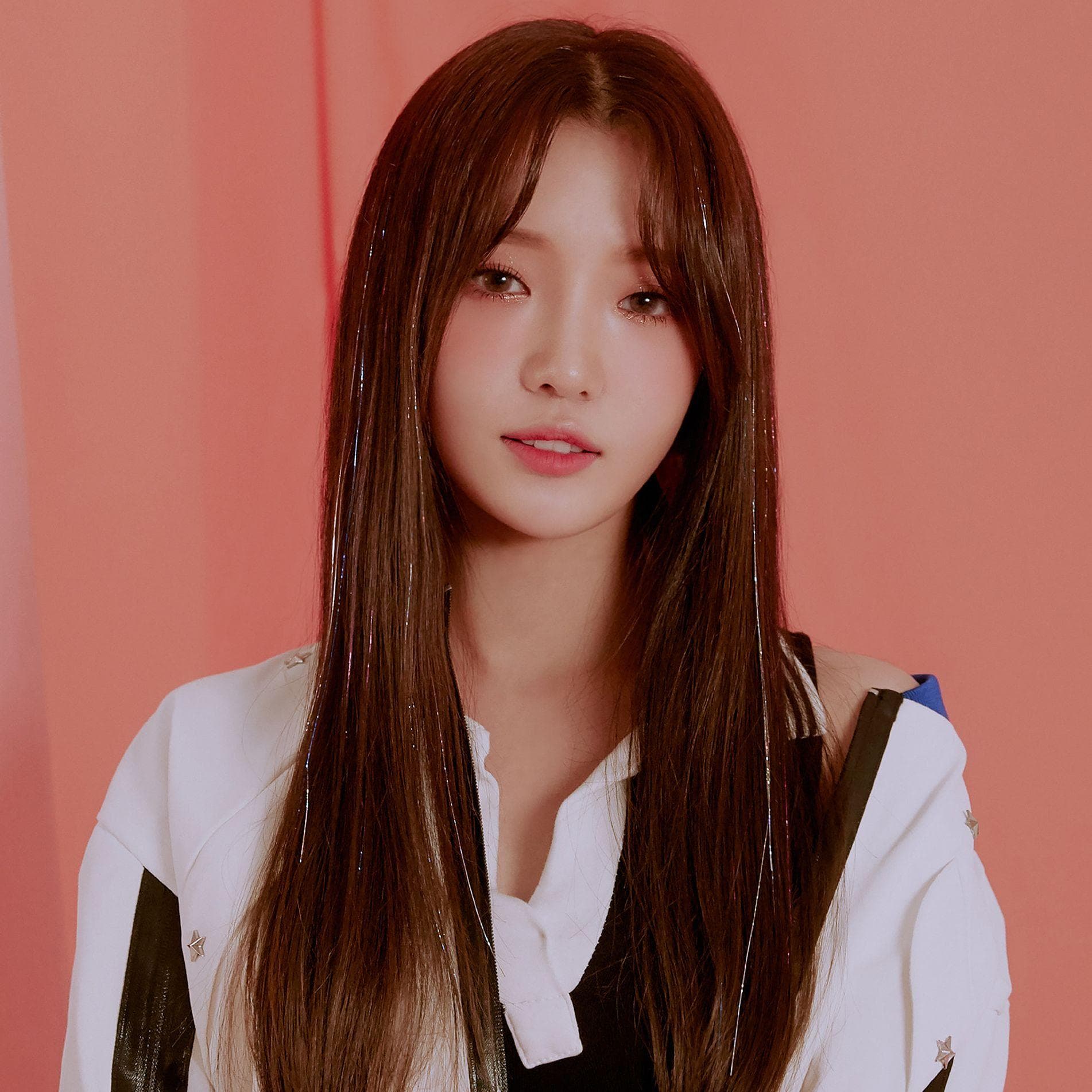 10+ K-pop Idols Who Are ESTJ, Ranked By Fans