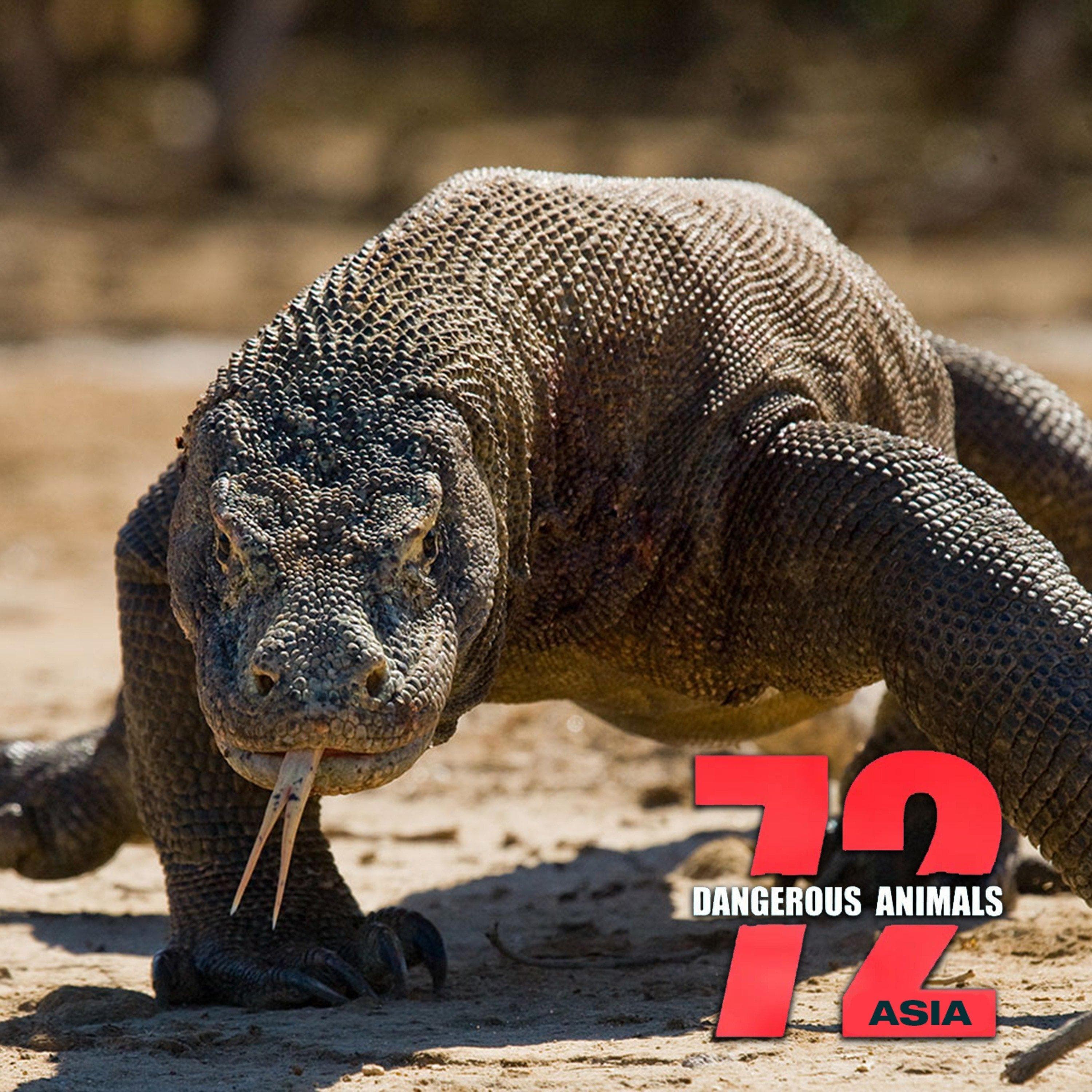 The 25+ Best Animal & Nature Documentaries On Netflix, Ranked