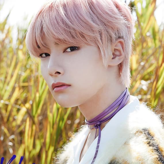 The 25+ Best K-pop Idols With Pink Hair, Ranked By Fans