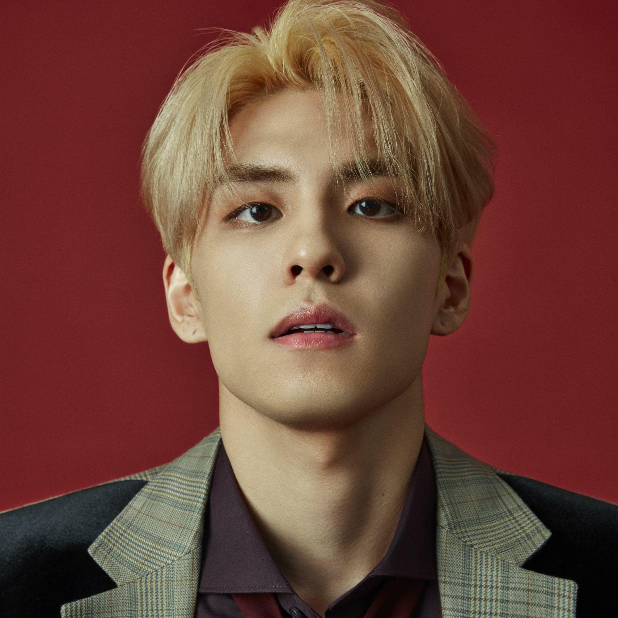 55+ K-pop Idols Who Are INFP, Ranked By Fans