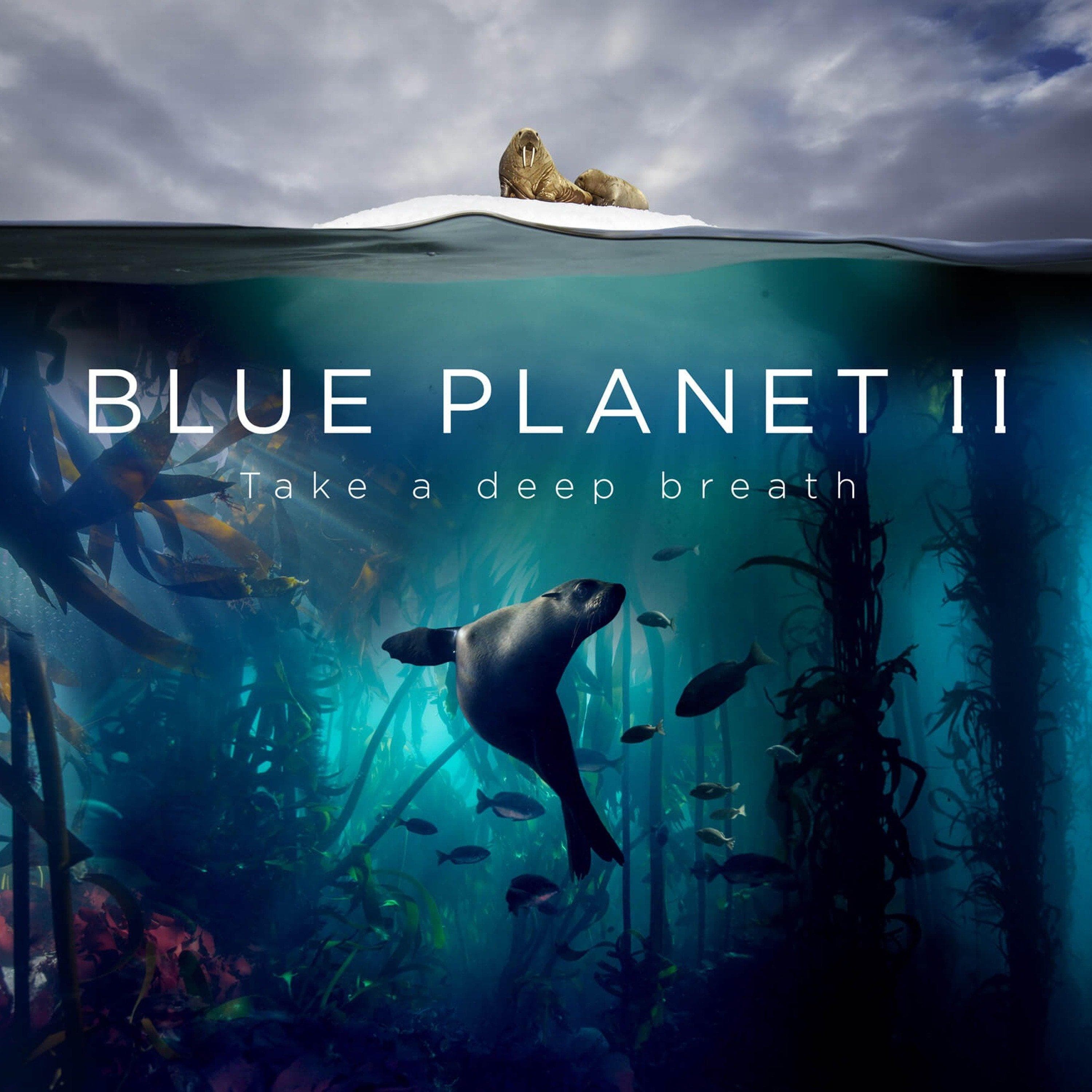 The 30 Best Underwater & Deep Sea Documentaries, Ranked By Fans