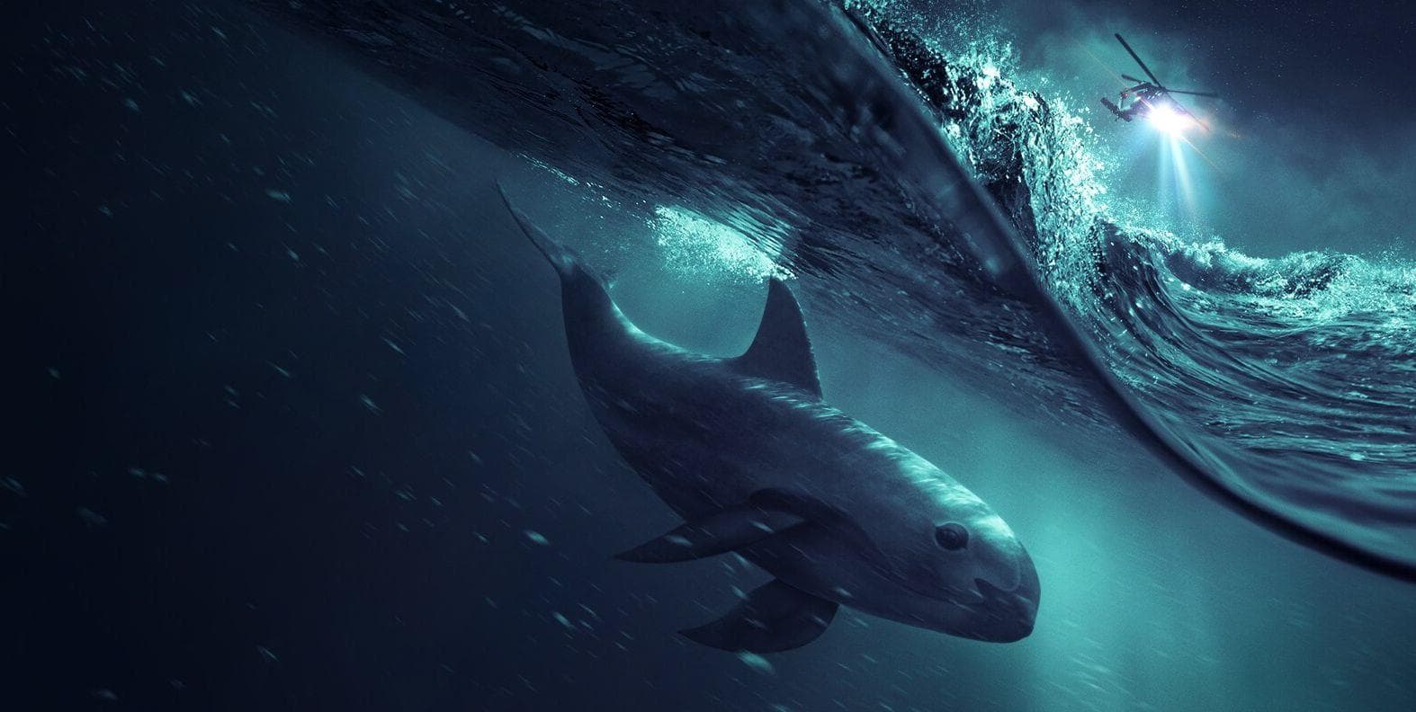 The 15 Best National Geographic Documentaries, Ranked