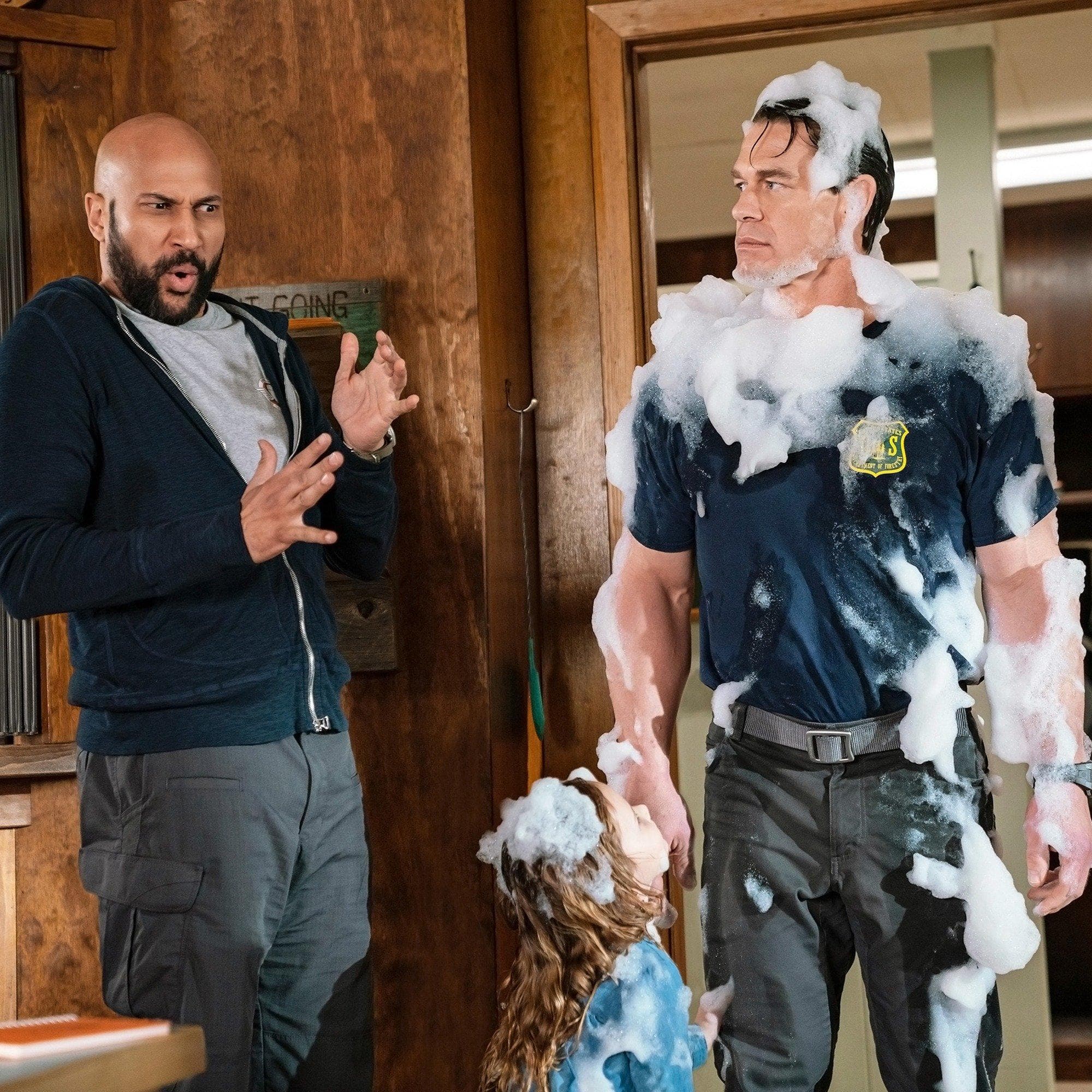 11 Movies About Wildfires, Ranked