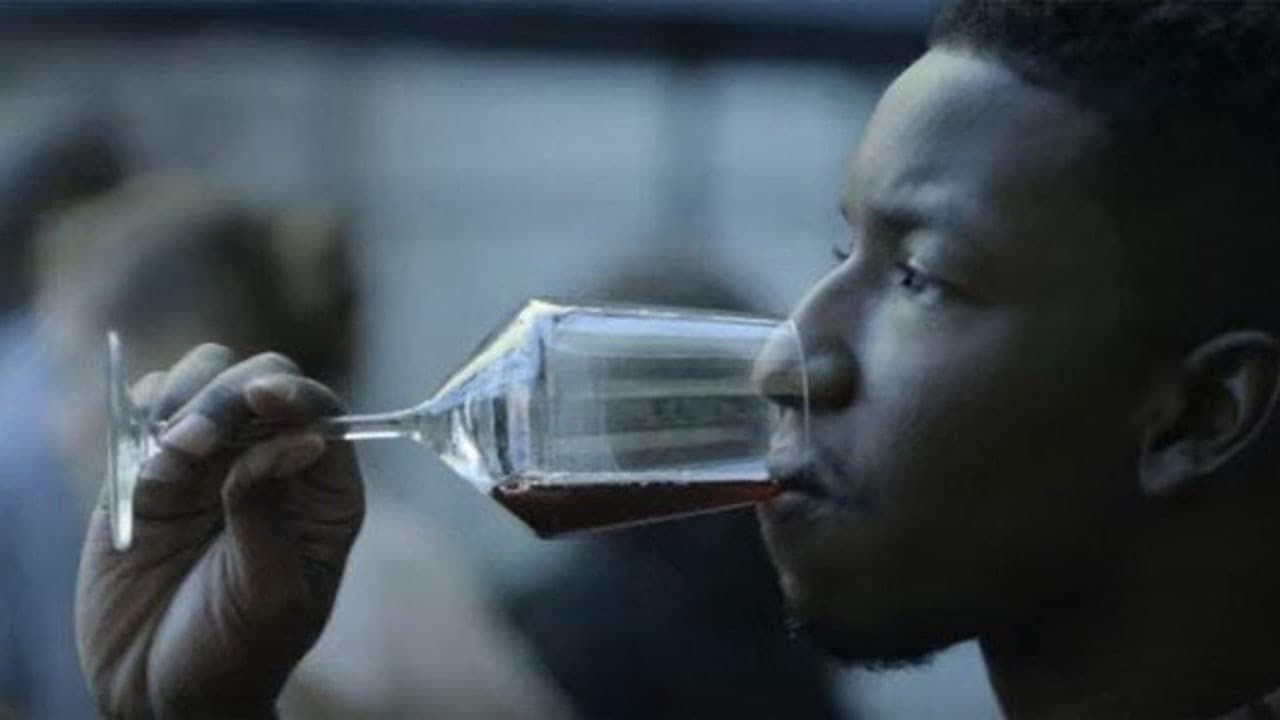 Best Movies to Watch While Drinking | Films to Watch Drunk