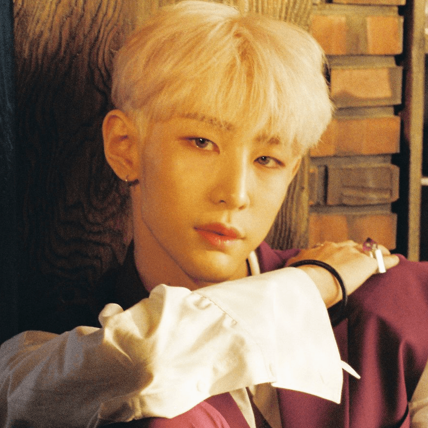 Ranking All 7 VAV Members | Vote for Your VAV Bias