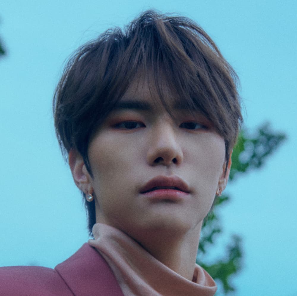 40 K-pop Idols Who Are ISFJ, Ranked By Fans
