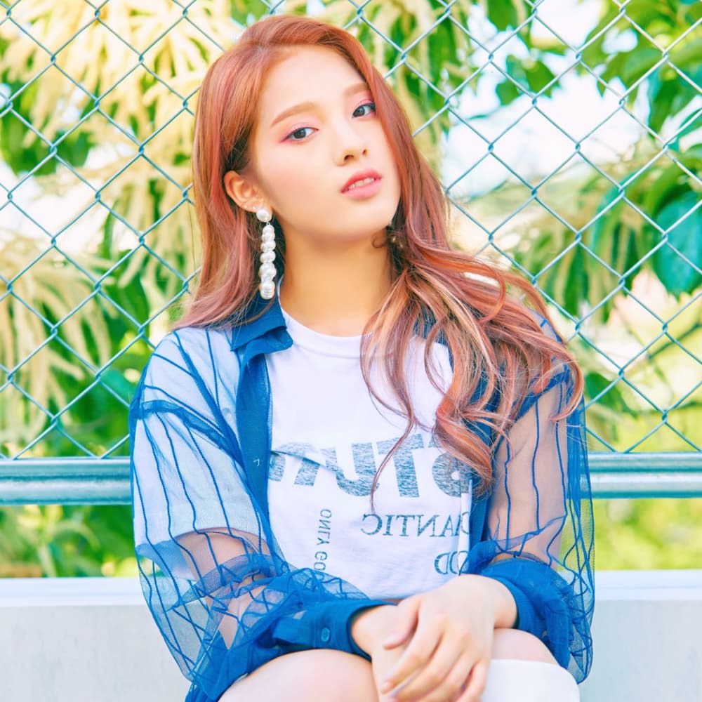 33 ISFJ K-pop Idols & Korean Celebs