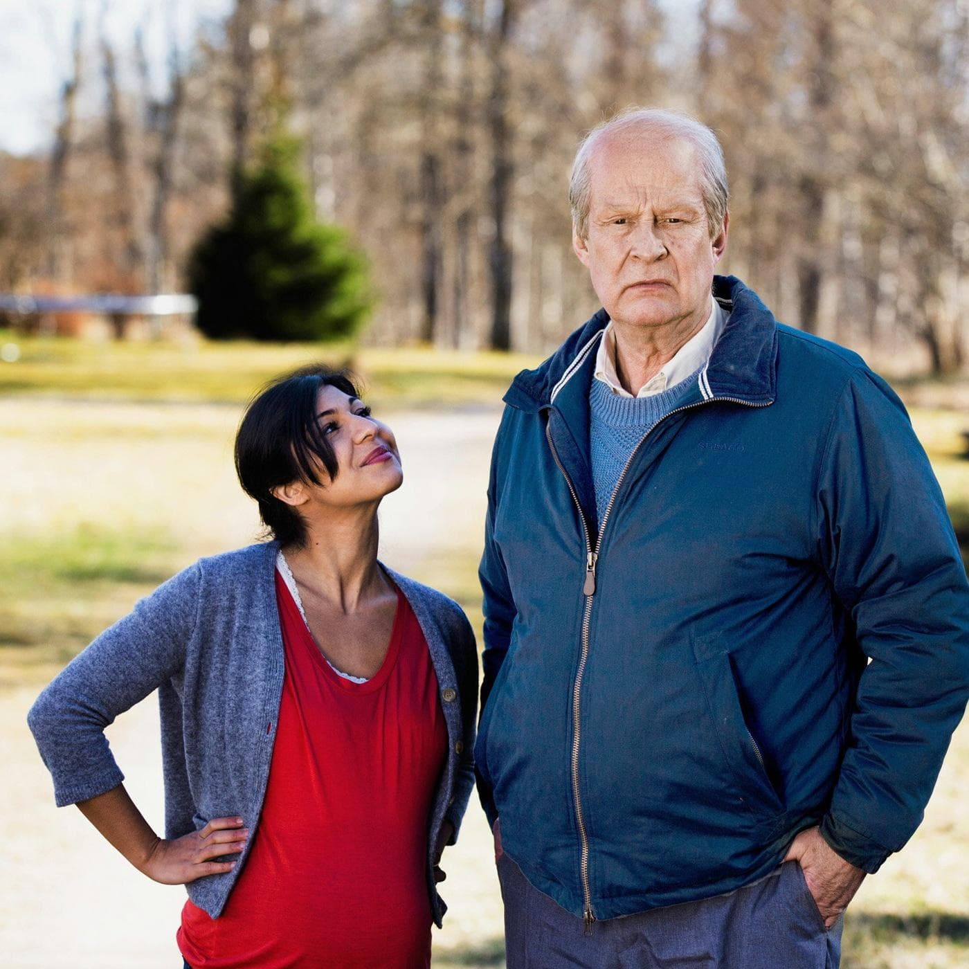 The 25 Best Movies Like 'A Man Called Otto', Ranked By Fans