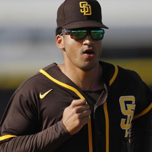 The 43 Hottest Baseball Players of 2024, Ranked By Fans