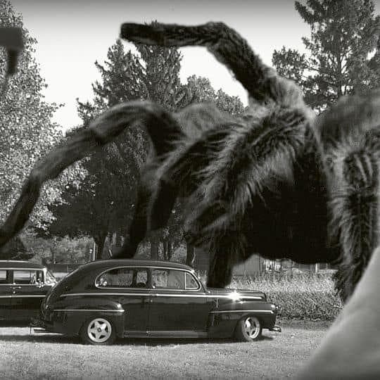 32 Scary Movies With Spiders, Ranked